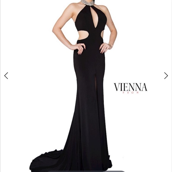 Vienna Prom | Dresses | Vienna Gown Size 2 Used One Day For Competition ...